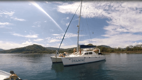 Catamaran Tours